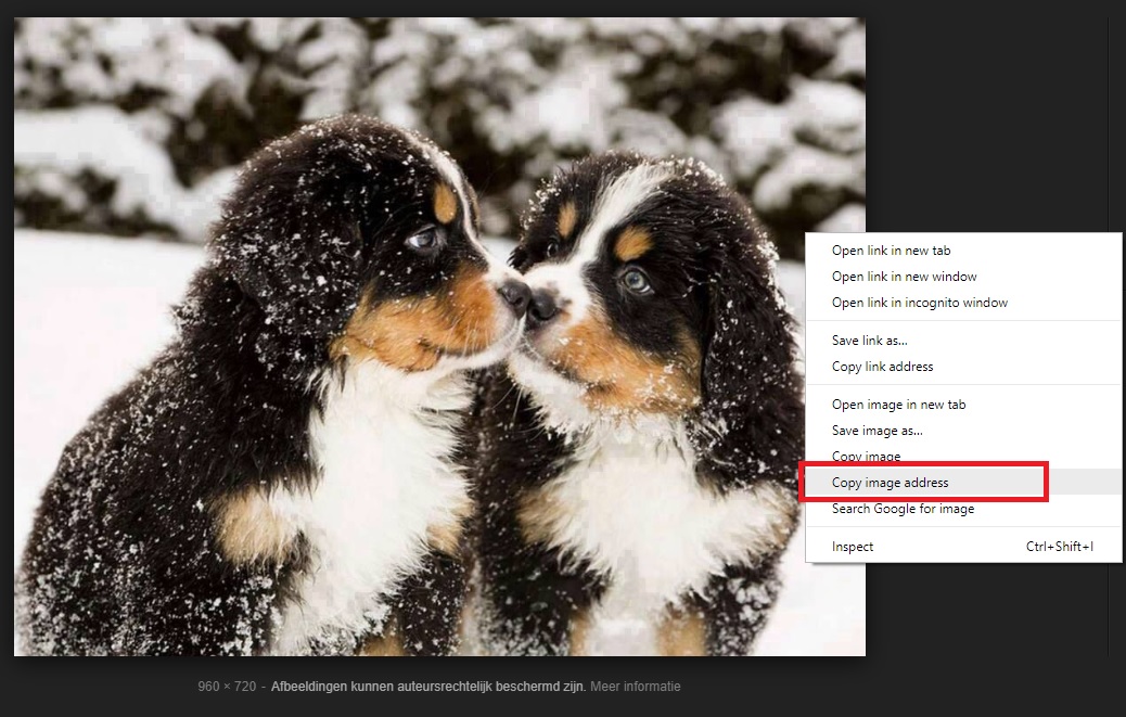 Adding a media or other file to an item – Televic Education