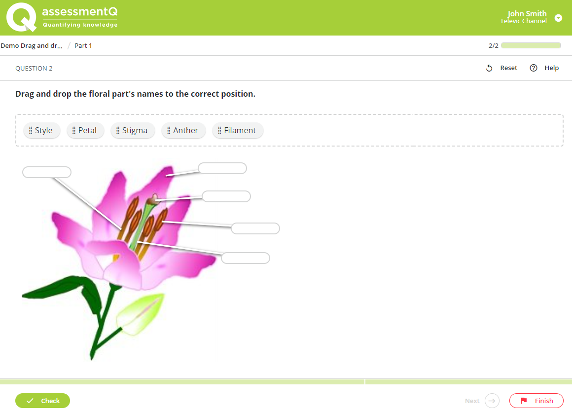 Drag And Drop Text Or Image On Background Televic Education 